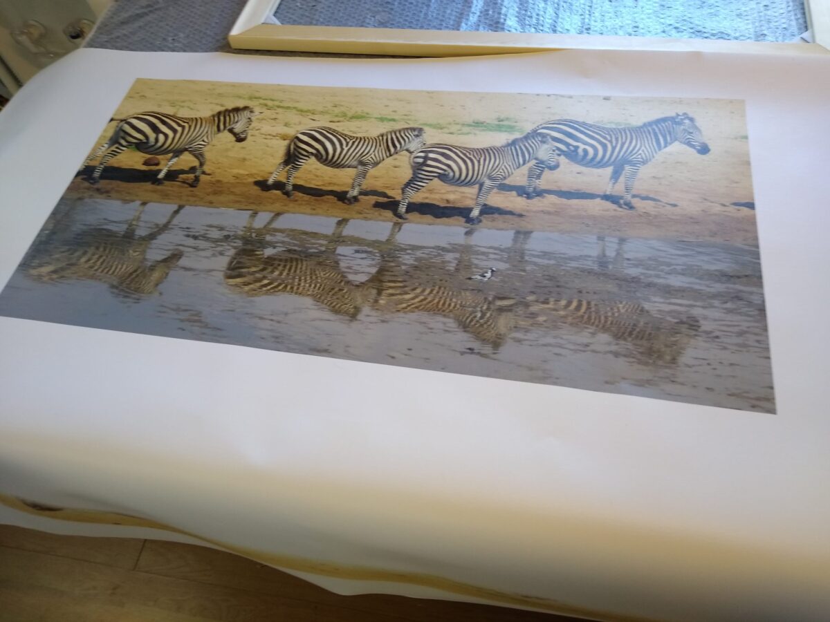 Canvas Framing - Framework Studios Picture Framers